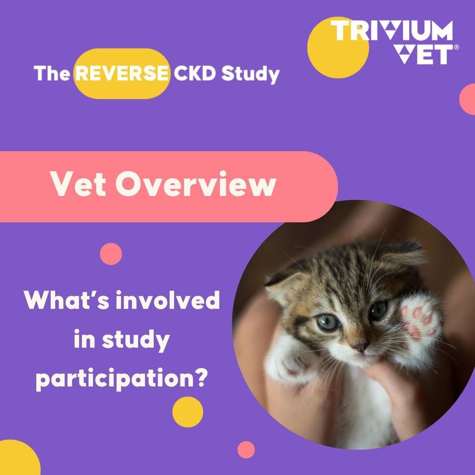 The REVERSE CKD Study